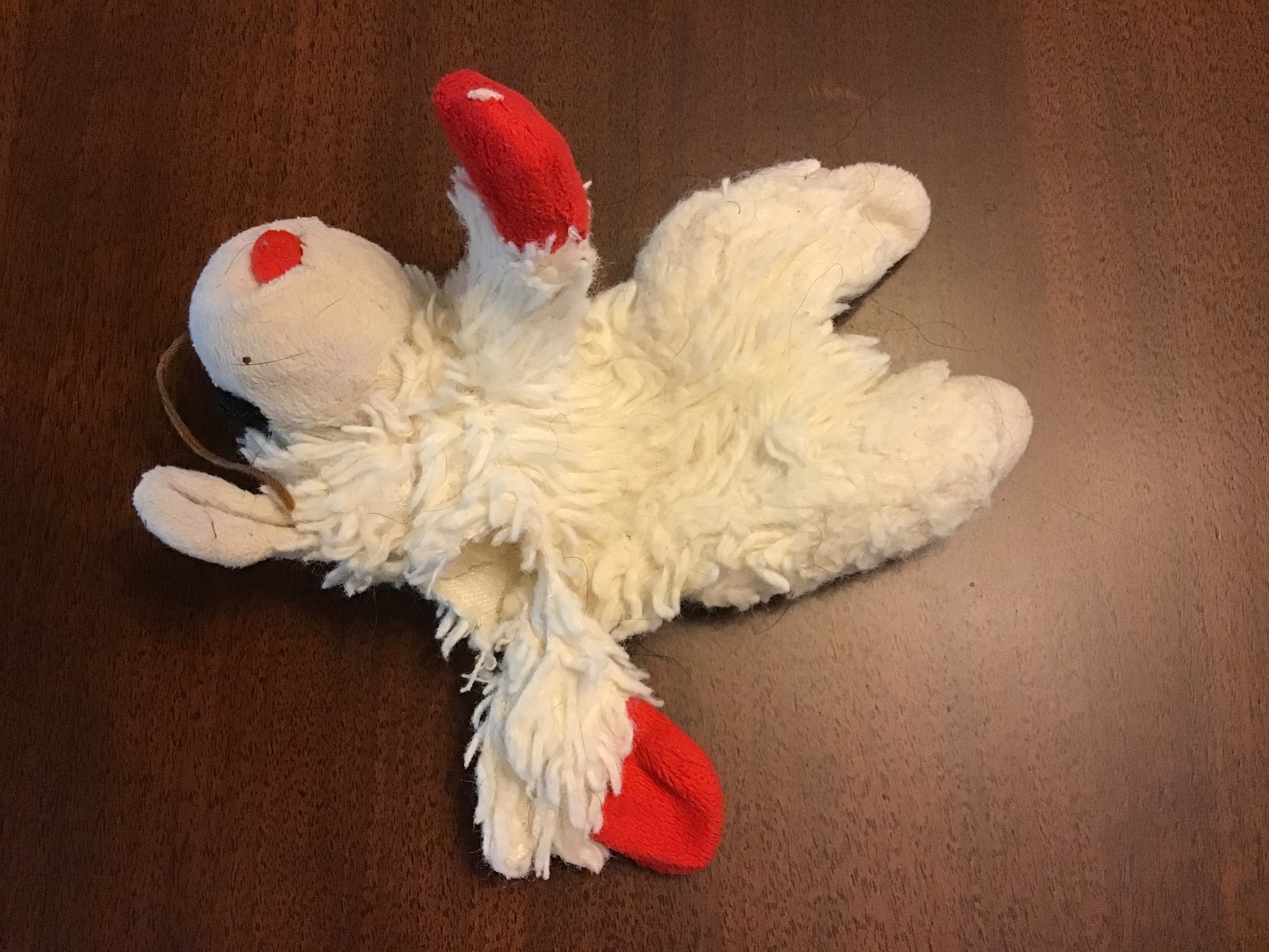 An earworm – Just A Few Steps Beyond Normal